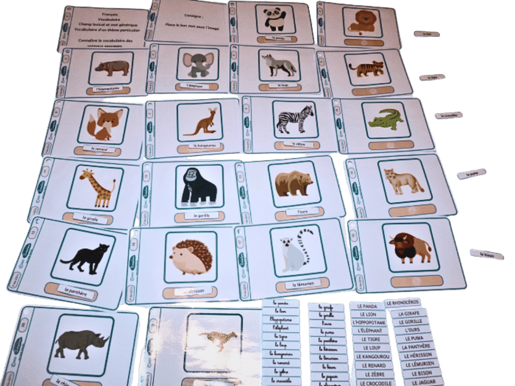 fiches de travail à scratch vocabulaire animaux sauvages autisme