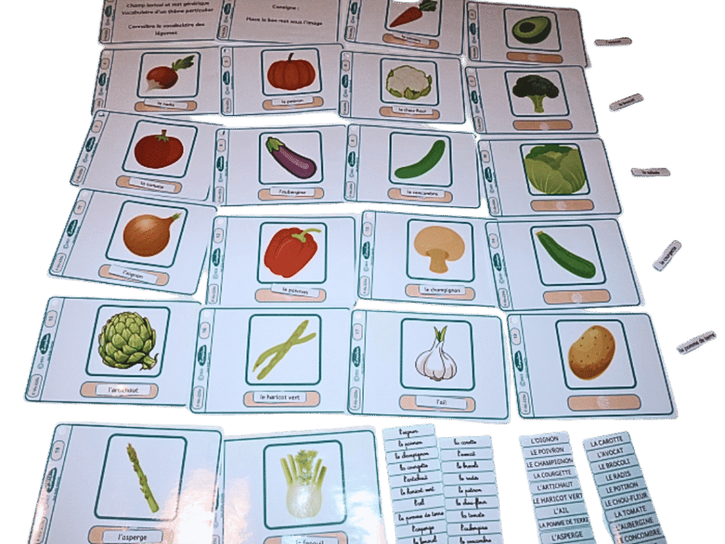 fiches de travail autisme à scratch vocabulaire légumes adapté