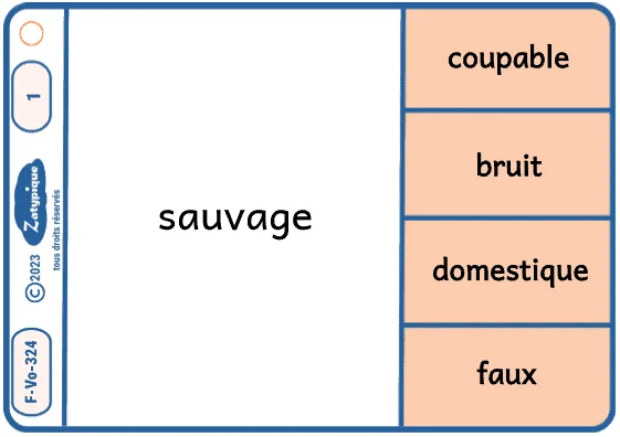 fiches effaçables vocabulaire sur les antonymes ou contraires